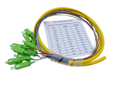 China 12 Cores FTTH Fiber Optic Pigtail SC APC G652D PVC 900um 1.5Mts Yellow for sale