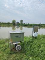 China 360 Degree Rotary Throw Type Auto Feeder for Fishpond Pond Fish and Shrimp Farming for sale