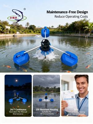 China Three Phase Permanent Magnet Paddle Wheel Aerator Variable Frequency for Pond Farming for sale