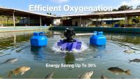 China 2HP Frequency Conversion Vane Paddle Wheel Aerator for Pond Oxygen Increase for sale