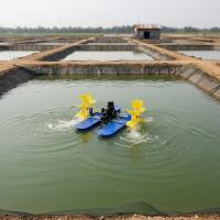 China Paddle Wheel Fish Pond Aerator Variable Frequency for Aquaculture Farming Aeration for sale