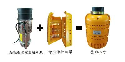China 304 Stainless Steel Submersible Water Pump Permanent Magnet Frequency Conversion for Farm Irrigation for sale