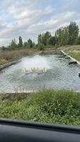 China Frequency Conversion Waterwheel Aerator for sale