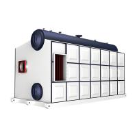 China SS Fuel Gas Steam Boiler Ultra Low Nitrogen Gas Fired Boiler for sale