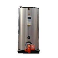 China Oil Fired Gas Hot Water Boiler LPG Natural Gas Steam Boiler for sale