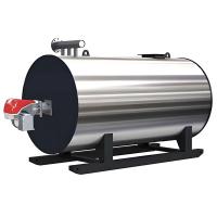 China High Temperature Oil Gas Thermal Boiler Low Pressure Customized for sale