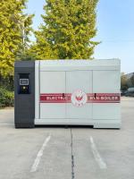 China Electric Hot Water Boiler 260kw  Automatic Low Pressure Heating Boiler for sale