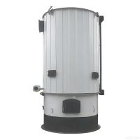 China LSH Vertical Biomass Fired Hot Water Boiler With Fixed Grate for Industrial Use Heating Machine Manufacturer for sale