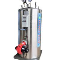 China Compact Structure 0.5 Ton Vertical Oil/Gas Steam Boiler LSS Small Footprint for sale
