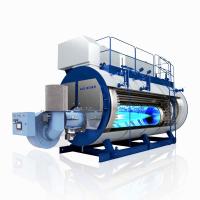 China 1-30Ton Oil Gas Fired Steam Boiler Fully Automatic 10-25bar Customized for sale