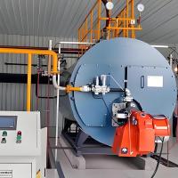 China High Efficiency WNS Gas Oil Fired Hot Water Boiler Fully Automatic Operation for sale