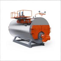 China Hot Sale WNS 3-6Ton Natural Gas Diesel Dual Fuel Fully Automatic Fire Tube Steam Boiler for Food Rice Beverage Plant for sale