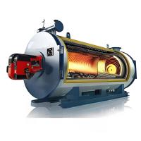 China 1T-20T Gas Fired Steam Generator 2.5MPa Fire Tube Steam Boiler for sale