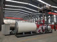 China 10 Tons Horizontal Steam Boiler Automatic Biomass Fired Steam Boiler for sale