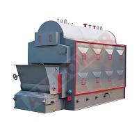 China 5 Ton Chain Grate Biomass Coal Hot Water Boiler Dual Fuel Boiler for sale