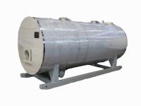 China Energy Saving Oil Gas Steam Boiler with Accurate Temperature Control and High Safety Level WNS Steam Boiler for sale