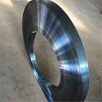 China JIS G4802 SUP10-CSP Blue Spring Steel Strips for sale