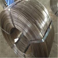 China 54SiCr6 1.7102 Flat Steel Wire For Spring for sale