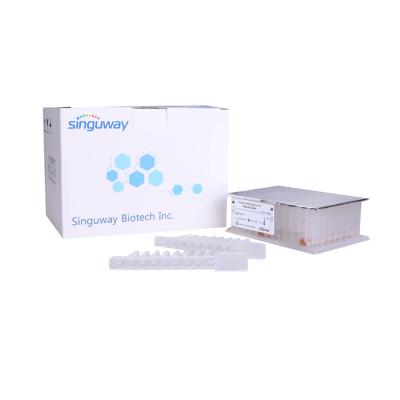 China Magnetic Bead Nucleic Acid Viral DNA RNA Purification Kit 98 Recovery Rate 96 Tests for sale
