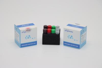 China Super Sensitive Rabies Virus RT PCR Test Kit IVD for Hospital 20uL Reaction Volume for sale