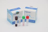 China Mycobacterium Tuberculosis RT PCR Diagnostic Kit Nasal Swab 30 Min Detection for sale