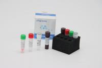 China Oral Swab RT PCR Collection Kit IVD Lab Reagent for ADV Virus Testing 20uL for sale