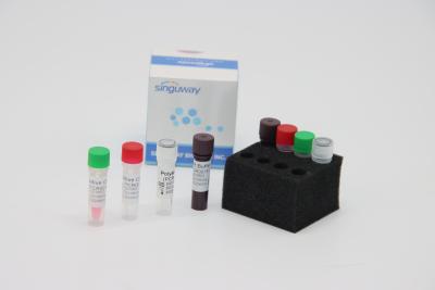 China Oral Swab RT PCR Collection Kit IVD Lab Reagent for ADV Virus Testing 20uL for sale