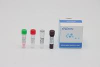 China CMV Virus RT PCR Test Kit Real Time Nucleic Acid Testing ISO13485 for sale