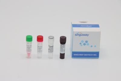 China CMV Virus RT PCR Test Kit Real Time Nucleic Acid Testing ISO13485 for sale