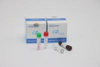 China Fast RT PCR Test Kit Quantitative Fluorescent for HFMD Virus Testing 30 Min for sale