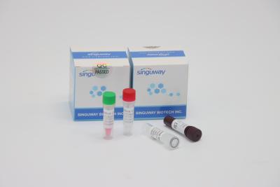 China Fast RT PCR Test Kit Quantitative Fluorescent for HFMD Virus Testing 30 Min for sale