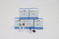 China Ultrafast Thalassemia Virus RT PCR Testing Kit Lab Using TB PCR Kit for sale