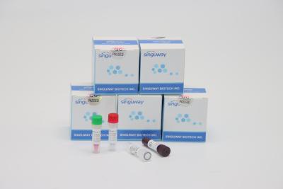 China Ultrafast Thalassemia Virus RT PCR Testing Kit Lab Using TB PCR Kit for sale