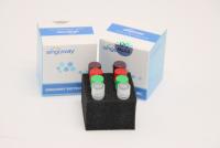 China Fluorescent Real Time HCV RT PCR Kit HSV2 Test Kit Laboratory Use CE for sale