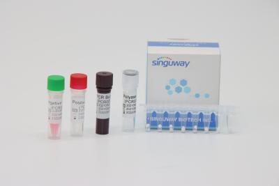 China Real Time PCR Diagnostic Kit for Leukemia BCR-ABL Fusion Gene Typing 50 Tests for sale