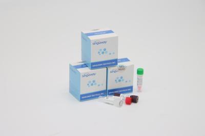 China Rapid RSV Virus RT PCR Test Kit POCT IVD Clinical Diagnosis 20uL High Precision for sale