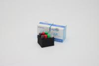 China High Sensitivity 6 Channels Multiplex Real Time Pcr Kit For Covid 19 Mutations Testing for sale