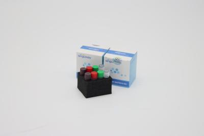 China High Sensitivity 6 Channels Multiplex Real Time Pcr Kit For Covid 19 Mutations Testing for sale