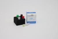 China HIFi Polymerase DNA Reverse Transcription PCR Kit RT PCR Reagents 20uL for sale
