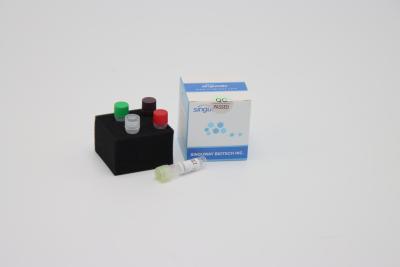 China HIFi Polymerase DNA Reverse Transcription PCR Kit RT PCR Reagents 20uL for sale