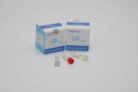 China H3N2 Thalassemia PCR Detection Kit 48 96 Tests High Precision for sale