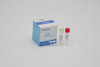 China Clinical Diagnosis IVD Real Time PCR Kit Fluorescence Probing One Step 20uL for sale