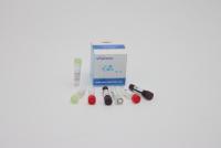China ORF1ab HPV PCR Detection Kit Nucleic Acid Genetic Testing for Clinical Diagnosis 20uL for sale