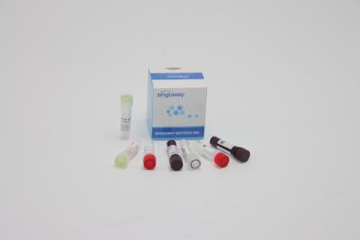 China ORF1ab HPV PCR Detection Kit Nucleic Acid Genetic Testing for Clinical Diagnosis 20uL for sale