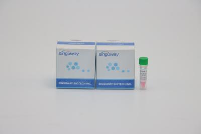 China High Precision Rapid One Step RT PCR Kit Lab Reagent For Helicobacter Pylori HP for sale
