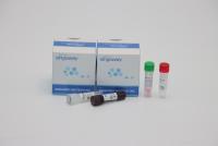 China Fluorescence Probing PCR Detection Kit Nasal Swab Sample For ADV Adenovirus Testing for sale