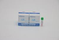 China Lab POCT IVD Mycobacterium Tuberculosis TB PCR Detection Kit DNA Testing ISO9001 for sale