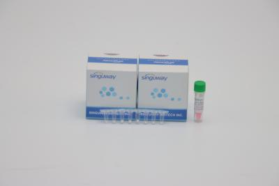 China Lab POCT IVD Mycobacterium Tuberculosis TB PCR Detection Kit DNA Testing ISO9001 for sale