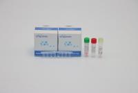 China Flu A Flu B One Step Real Time PCR Kit Highly Sensitive 96 Tests HIV PCR Test Kit for sale