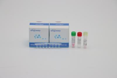 China Flu A Flu B One Step Real Time PCR Kit Highly Sensitive 96 Tests HIV PCR Test Kit for sale
